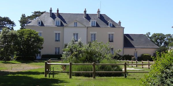 Terre-Neuve - Chauvé (44)